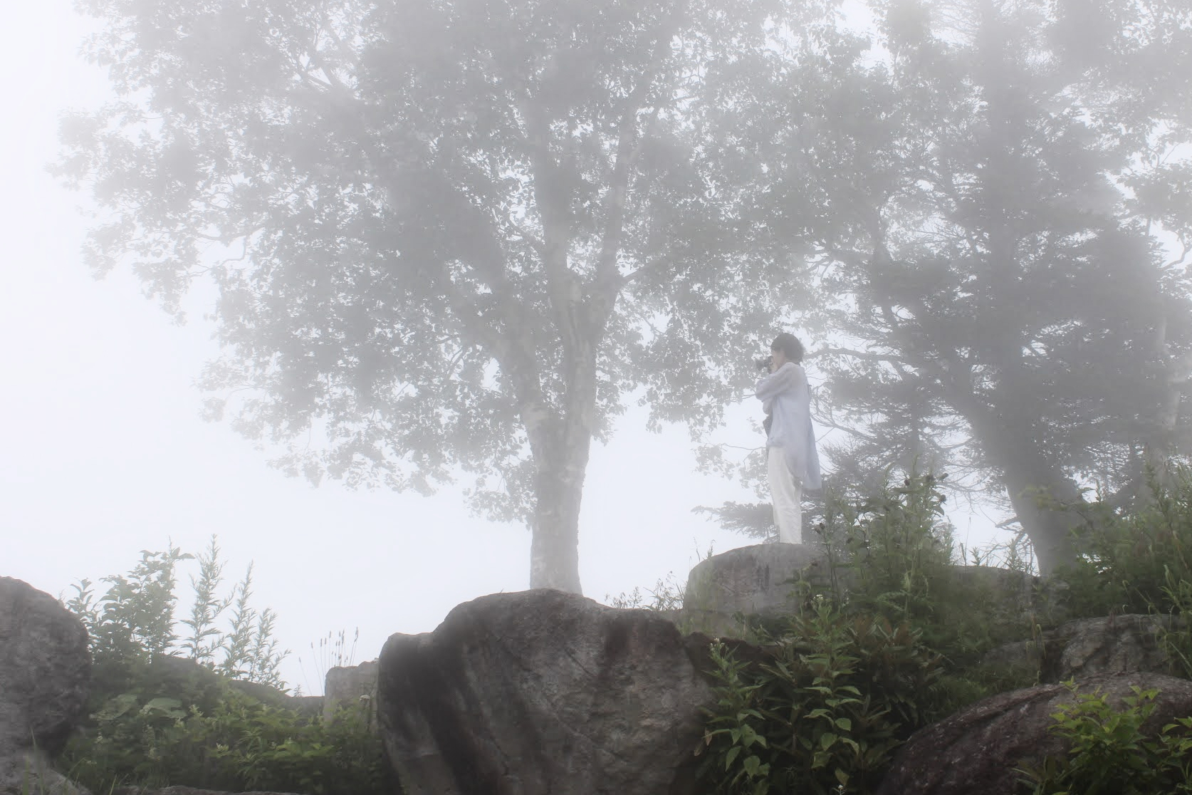 Photographer belonging to the labo : naoya oshio. A website displaying ...